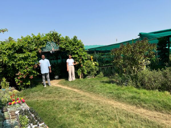 Maati Plants Nursery: Your Green Haven for Plants, Pots, Compost, and ...