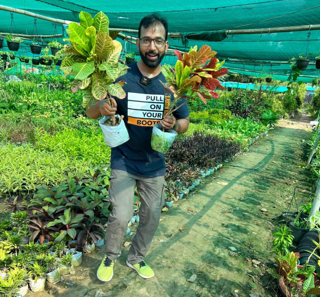 Discover the Cheapest Nursery Plants in Delhi NCR – Starting at Just Rs ...