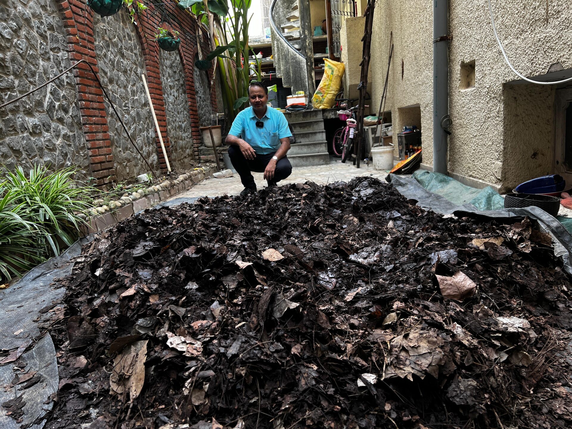 Dry Leaf Compost for Plants: Nature’s Best Fertilizer | Delhi Dudes